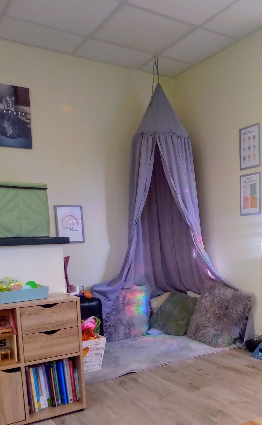 Gallery | Spectrum SEN Services